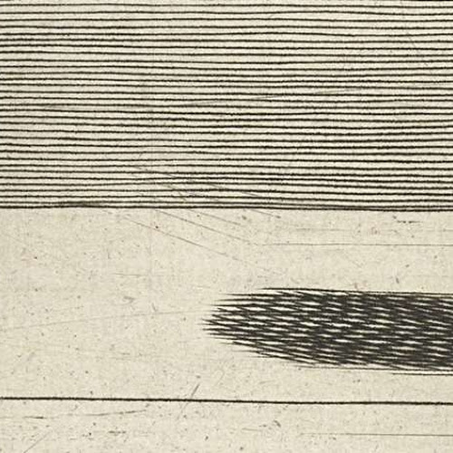 De anatomische les-Collected works of Patty Struik - All Rijksstudio's ...