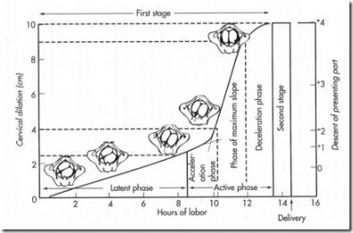 PENDIDIKAN KLINIK OBSTETRI GINEKOLOGI: Proses Persalinan Normal