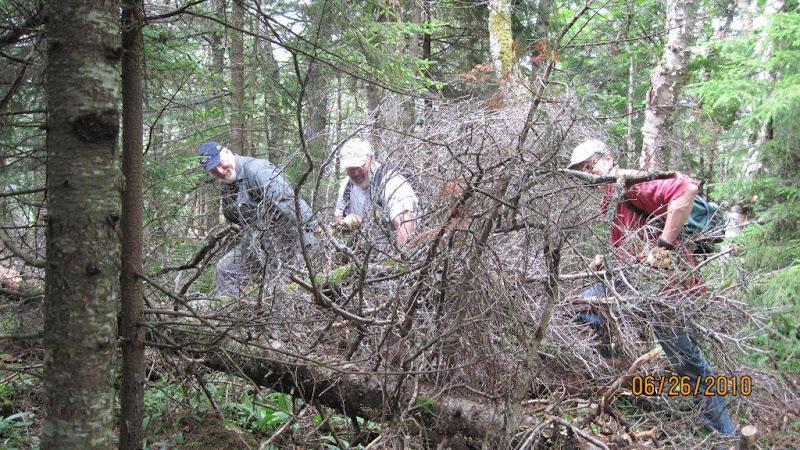 Trailwrights on Bald Mtn./Artits bluff Loop | New England & New York ...