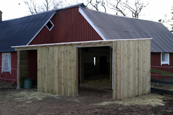 Hästvård - stall-utebox hur ska vi göra? | Bukefalos