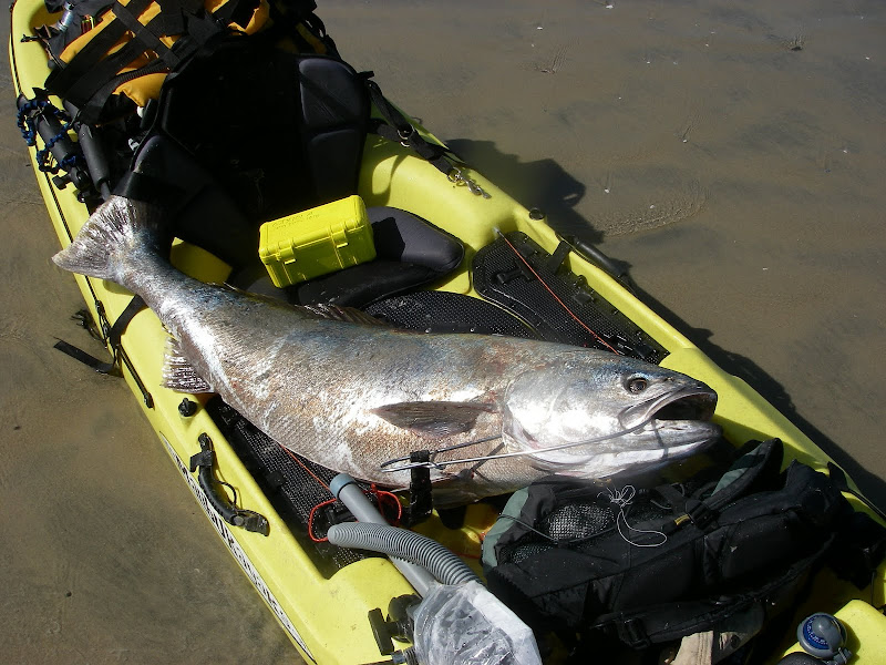 The Overloaded Kayak