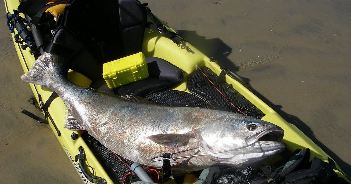 The Overloaded Kayak: Back in drydock