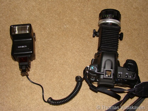 Nature Magnified: DIY Macro Flash Bracket