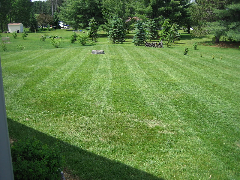 Simplicity Sunrunner? | Page 2 | My Tractor Forum