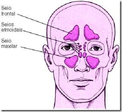 Medicina sem Segredo !: Sinusites