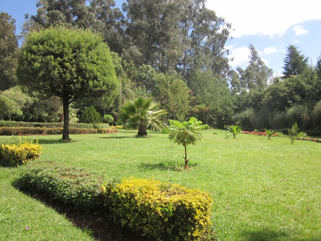Sheger Park | A Guide to the Green Spaces of Addis Ababa