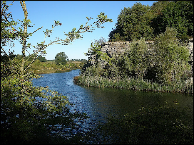 Idler's Quest: Commercial Sense: A Quarry Query