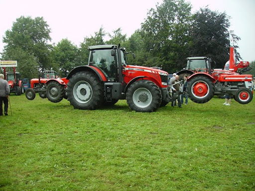 Historischer feldtag mit Massey-Ferguson - Das deutsche Ferguson- und ...