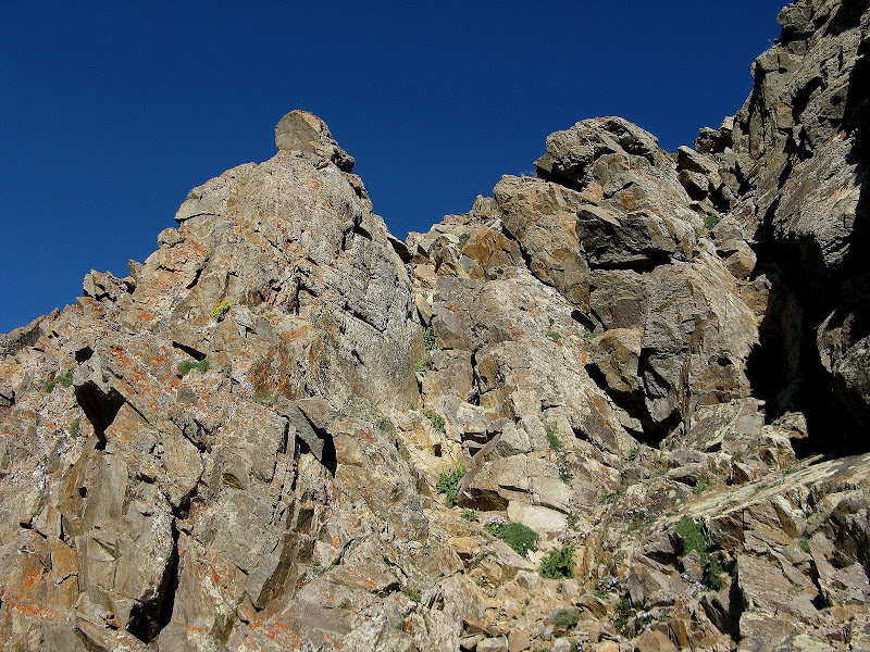 Kelso Ridge to Ruby: The Road Less Traveled : Trip Reports : SummitPost