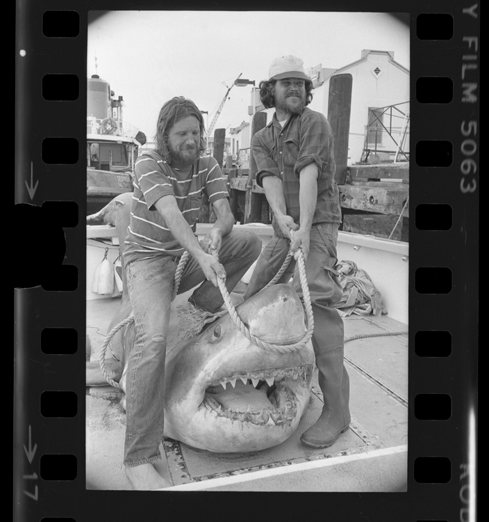 History - The History Of Los Angeles | Page 17 | The H.A.M.B.