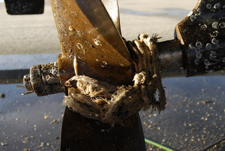 Prop Shaft Spurs/Line Cutters