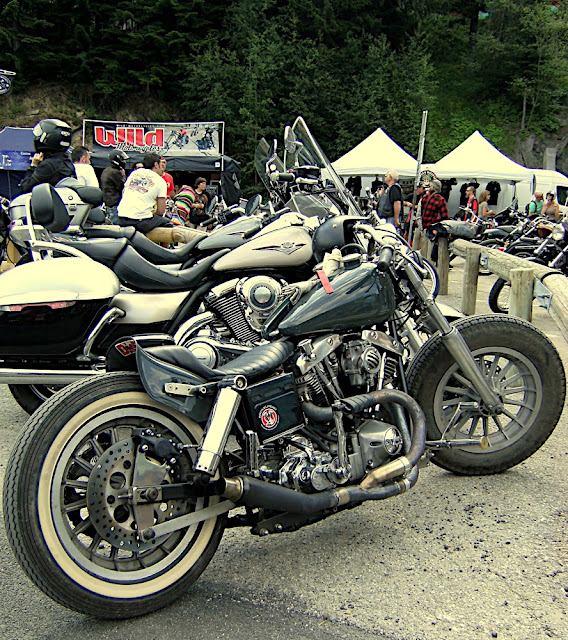 Pic request - upright ducktail fender - Harley Davidson Forums