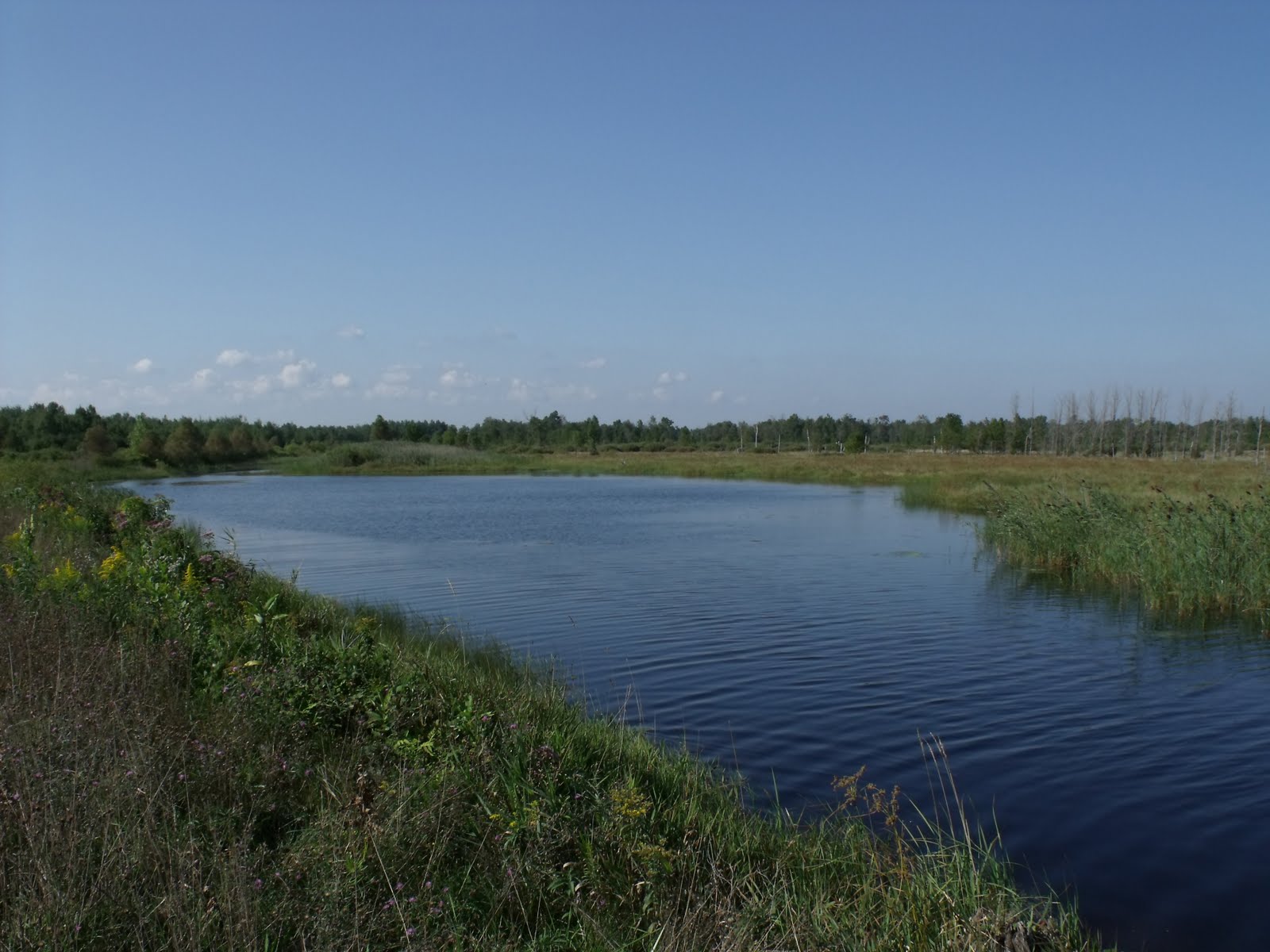Northern Information Sights: Tuttle Marsh