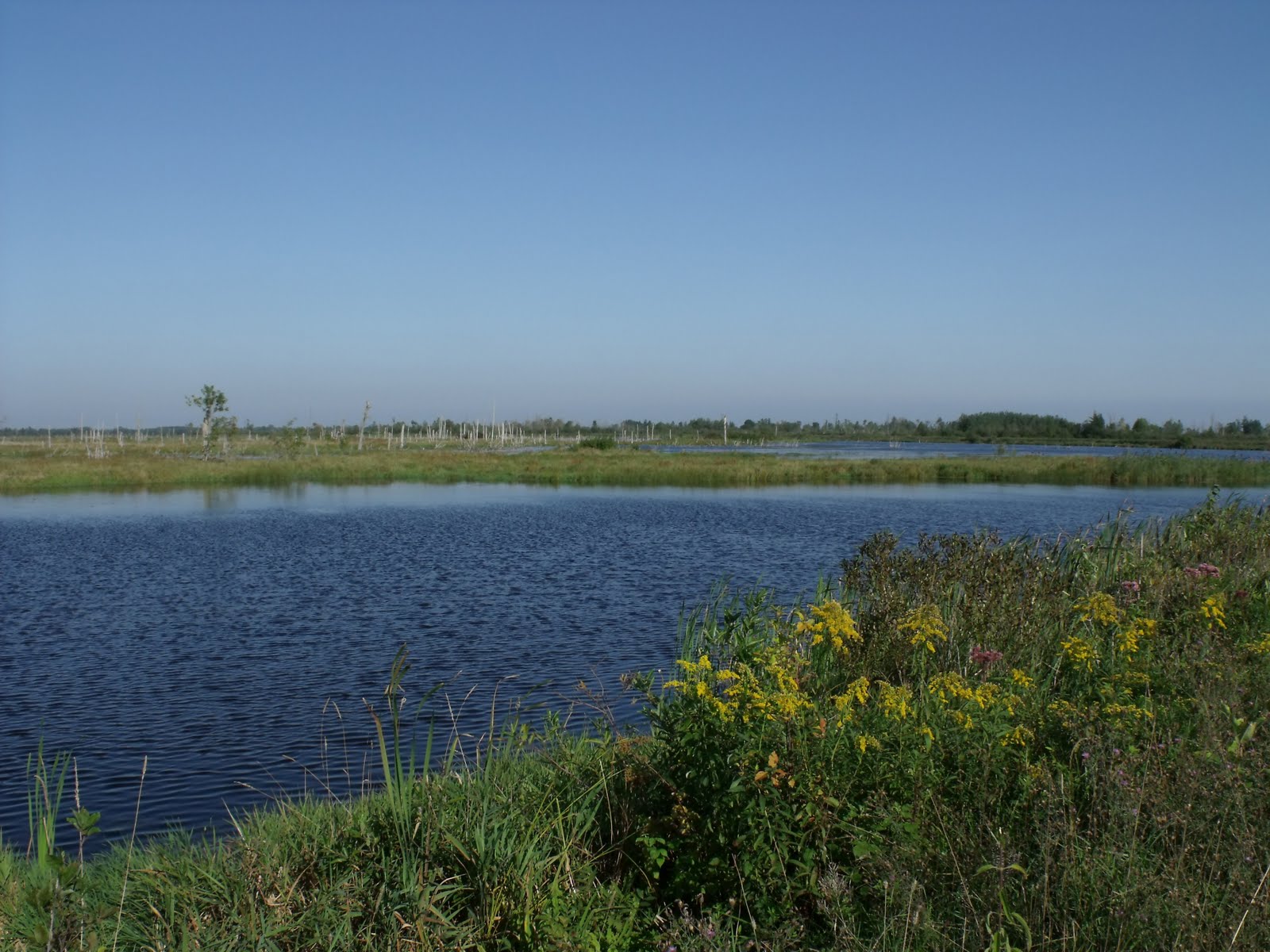 Northern Information Sights: Tuttle Marsh