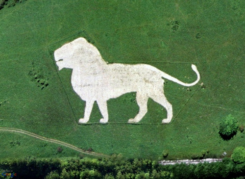 Whipsnade Zoo's giant hillside lion makeover completed