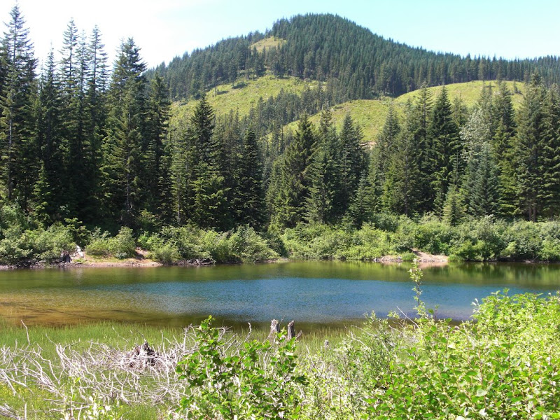 Stampede Pass - Washington's Cascade Range | Soviet Steeds