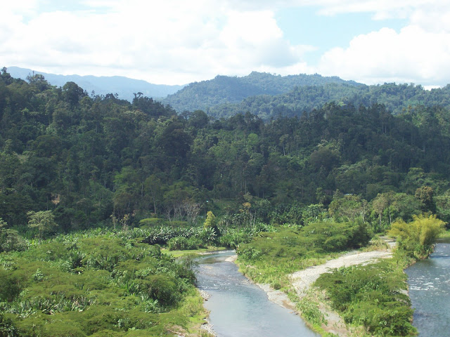 Bosques | Burica Press -- Panamá por Dentro | Página 4