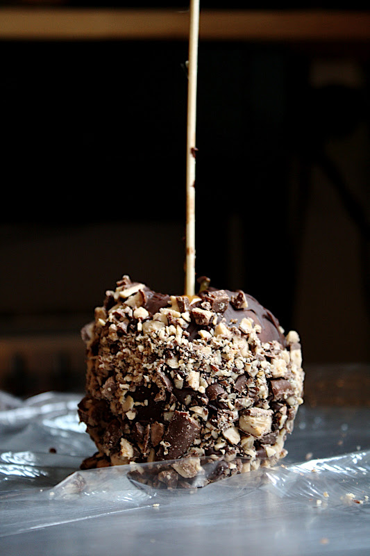 candy-covered chocolate-covered caramel covered apples | home in the ...