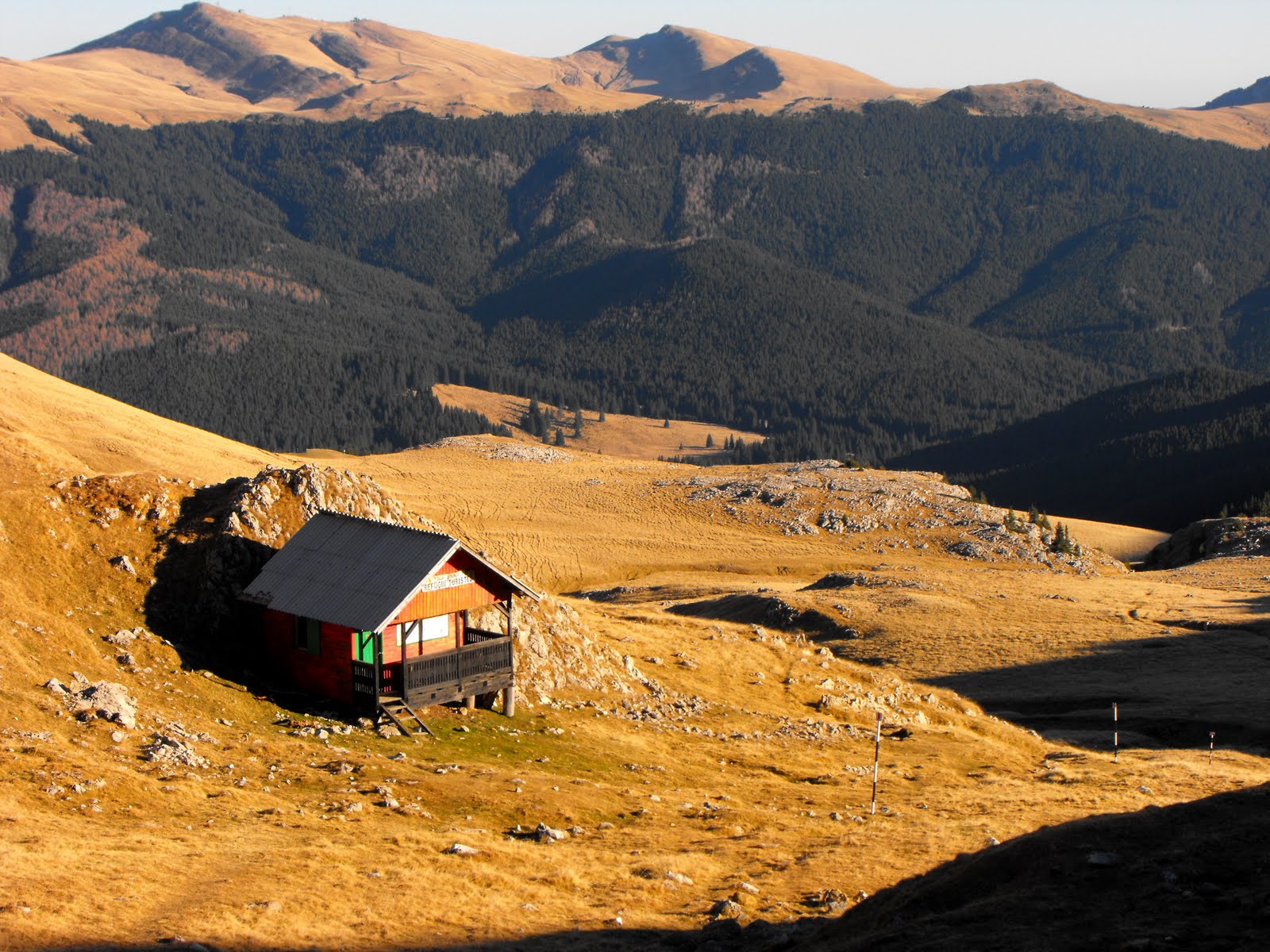 În albastrul cerului înalt | meetSun.ro