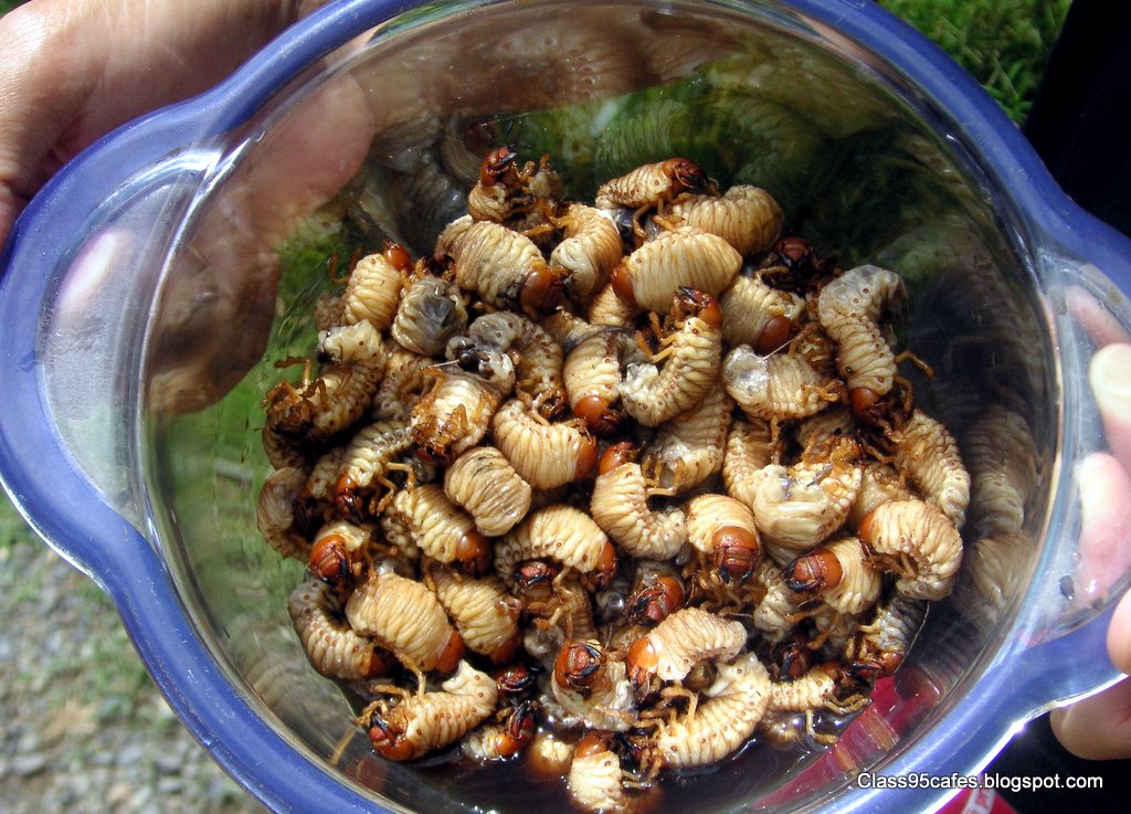 Philippine Food Illustrated: Abaling, 53% OFF