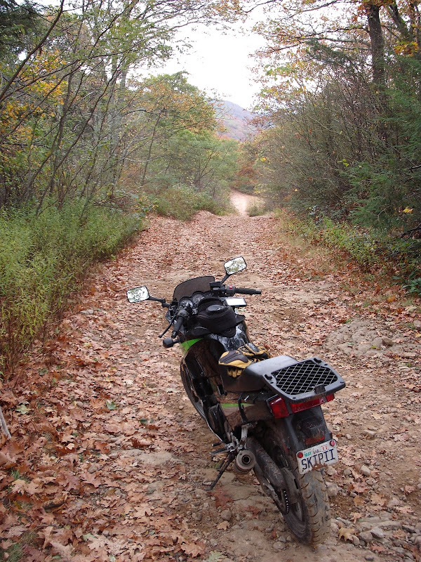 Shenandoah 500 pics- TONS! | Adventure Rider