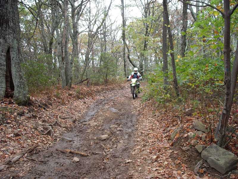 Shenandoah 500 pics- TONS! | Adventure Rider