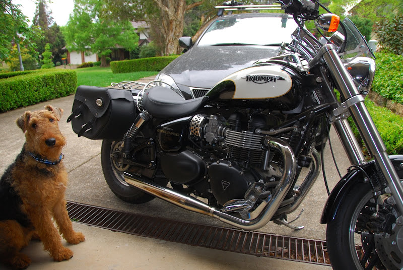 about fitting rivco risers on a speedmaster | Triumph Rat Motorcycle Forums