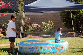 summer is for swimming, moonpools and caterpillars | surviving suburbia