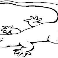 DIBUJOS DE REPTILES PARA COLOREAR