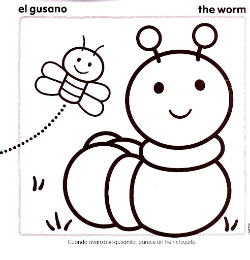 Imagenes de colores para colorear - Imagui