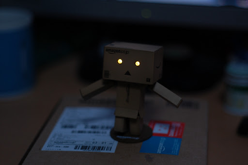 CHYUANYANG'S WORLD: DANBOARD amazon box version mini