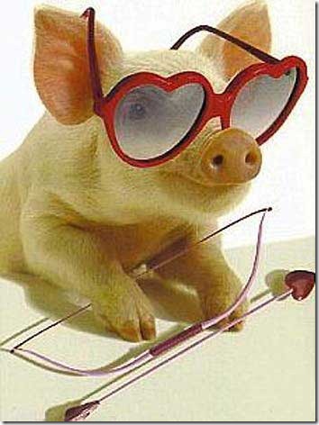 Marranos animados - Imagui