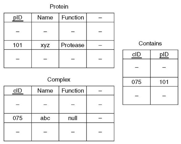 Relational databases in bioinformatics