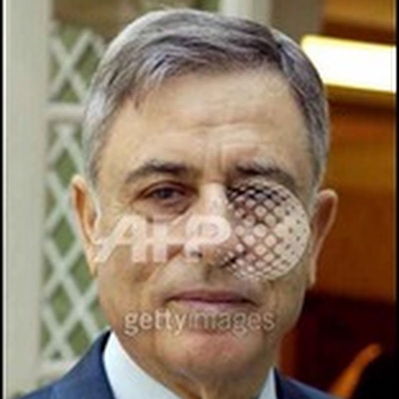 Egyptian Chronicles: A Question to The Syrians Abroad