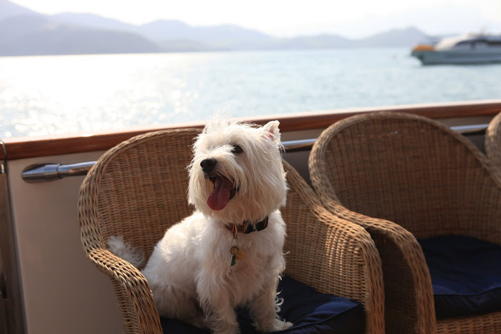 Lovely Long Weekend | Penguin Print