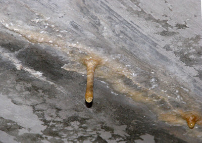 » Concrete stalactites Decrepit Old Fool