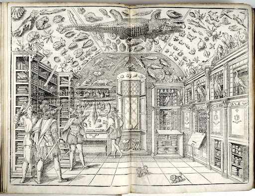 Museum of Ferrante Imperato - Anonymous — Google Arts & Culture