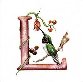 Alfabeto retro de colibrís. - Oh my Alfabetos!