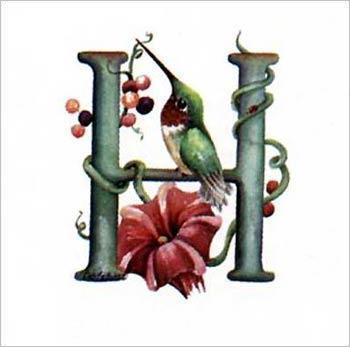 Alfabeto retro de colibrís. - Oh my Alfabetos!