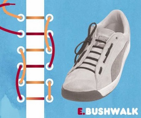 15 different ways to tie the shoe knot | Amusing Planet