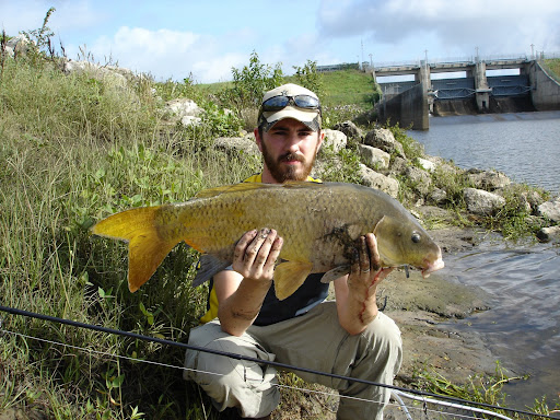 Strange carp/buffalo hybrid discovered | Rough Fish / Carp | Texas ...