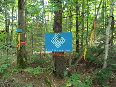 Tree Museum – Gravenhurst | Visually Resourceful