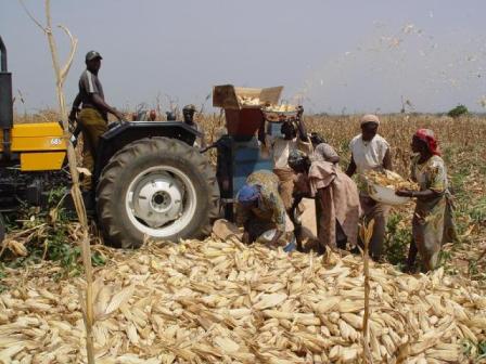 Bukola Saraki - When Hard Work Favours The Favoured - Gistmania