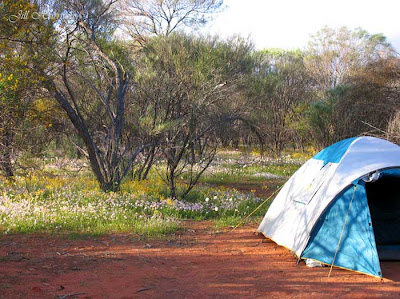 Tour Downunder Western Australia .................... Life Images by ...