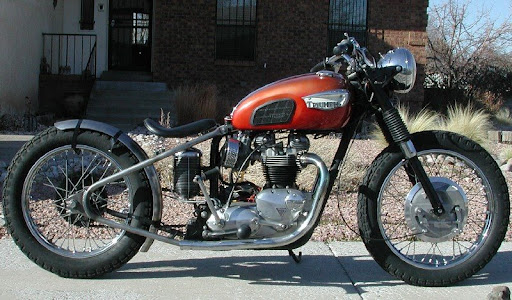 Triumph David Bird hardtail stretch picture request | Jockey Journal Forum
