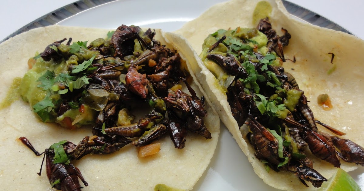 Wordsmithing Pantagruel: Toloache's Chapulines Tacos (Fried Grasshoppers!)