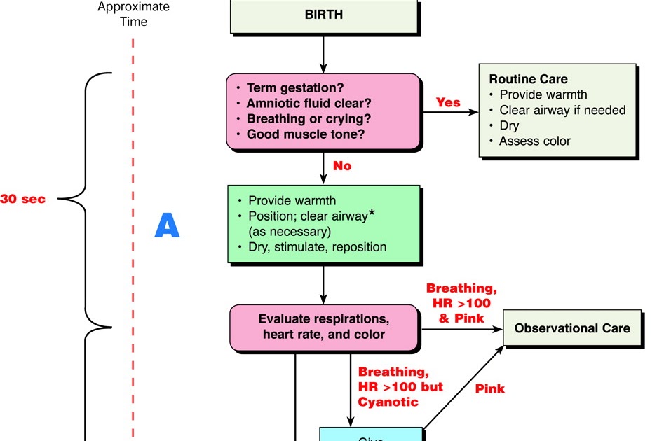 NRP Algorithm | ALL THINGS NICU