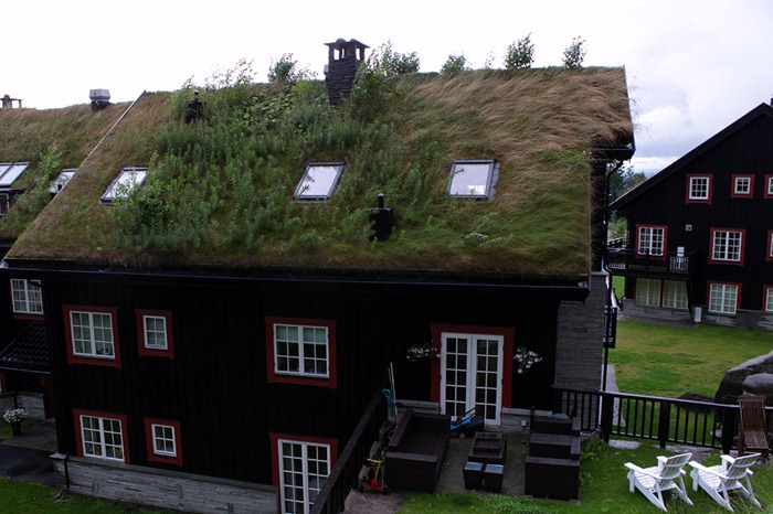 The Grass Roofs of Norway | Amusing Planet