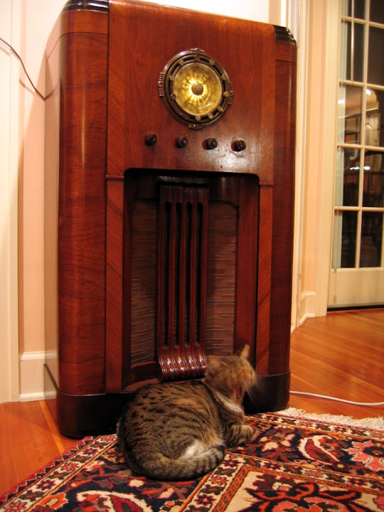 Kitty loves the new radio..... - Antique Radio Forums