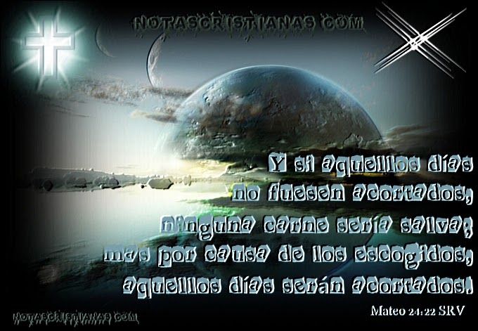 Verso Bíblico: Mateo 24:22